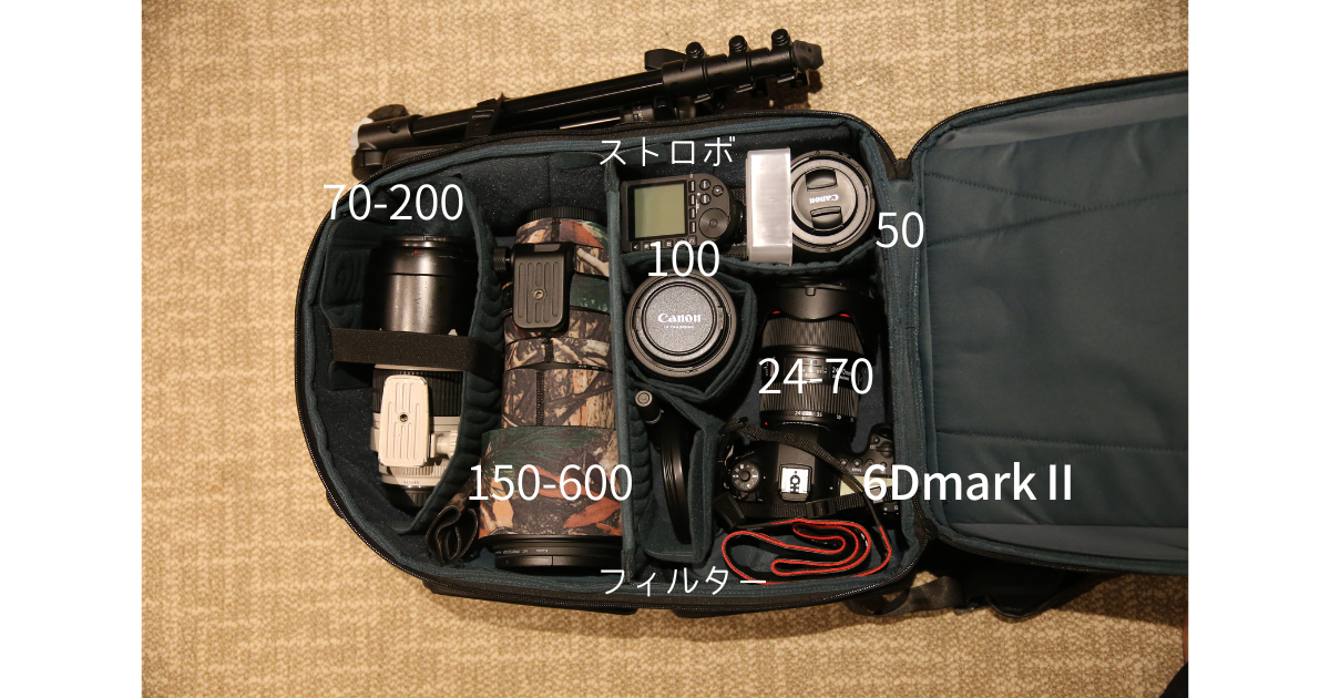 カメラバッグ『PGYTECH OneMo 2 25L』使用レビュー！飛行機旅行にも最適だった！ - 趣味おじさんの日常ラボ